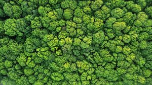 Fibra.bio | Sustainable Fibre Technology